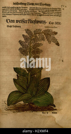 This German botanical book presents comprehensive descriptions of ...