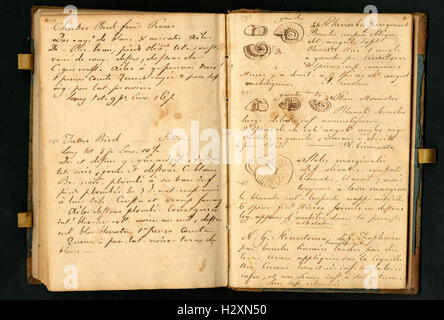 This notebook by Rafinesque documents his observations and findings ...