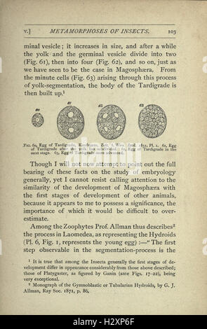 This work explores the life cycle and metamorphosis of insects ...