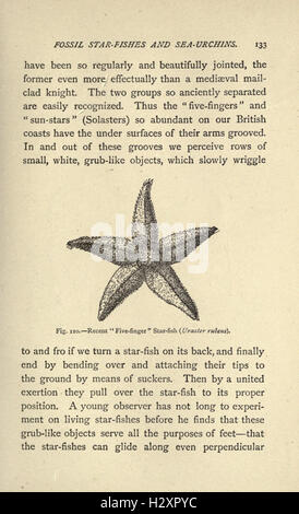 This work guides readers on identifying common British fossils ...