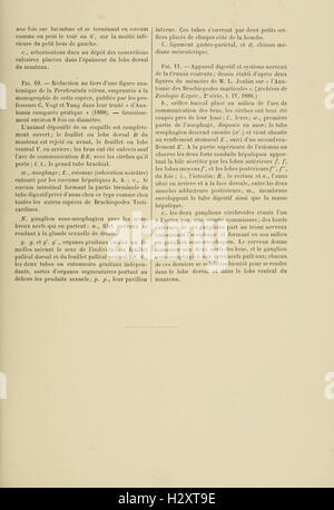 This comparative anatomy atlas focuses on the anatomical features of ...