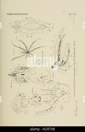 This atlas provides comparative anatomical illustrations of ...