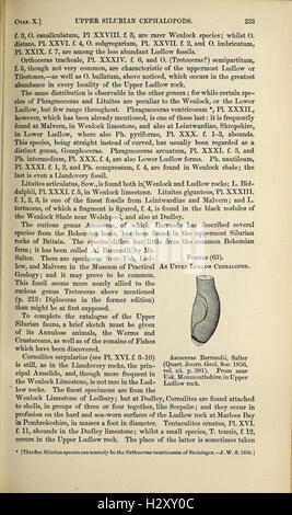 Siluria is a geological work that studies the Silurian period, focusing ...