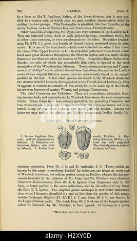 A historical study on the Silurian period, focusing on the life forms ...