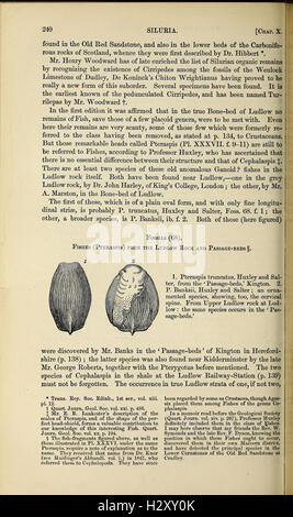 'Siluria' explores the early geological history of the Silurian period ...