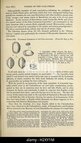 'Siluria' discusses the geological formation and the history of the ...