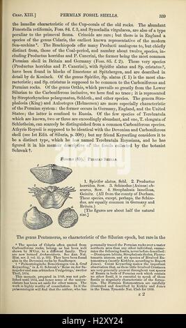This page details the geological history of Siluria, describing rock ...