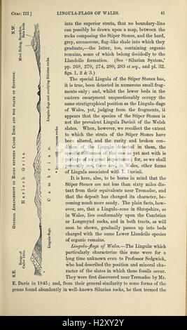 'Siluria' is a geological text focusing on the Silurian period, with ...