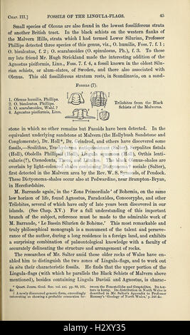 This page from *Siluria* focuses on Silurian geological formations ...