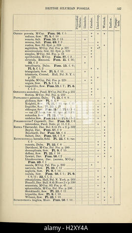 ‘Siluria’ provides geological and paleontological insights into the ...