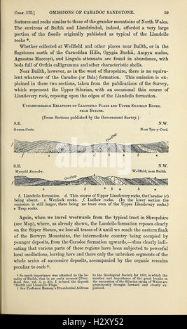 Siluria is a geological work that studies the Silurian period, focusing ...
