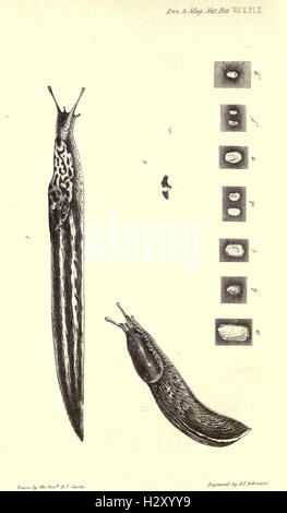 This volume includes various articles and illustrations from the ...