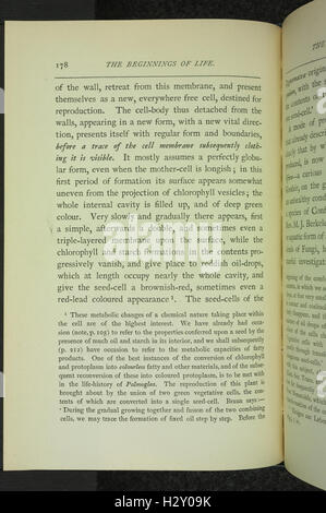 This work explores the origins of life, discussing theories and ...