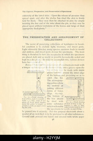 This book explores the various species of butterflies, their life ...