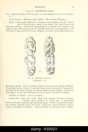 A detailed classification of living rodent families and genera ...
