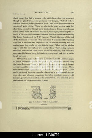 An exploration of plant deformities (teratology) and abnormal growth ...