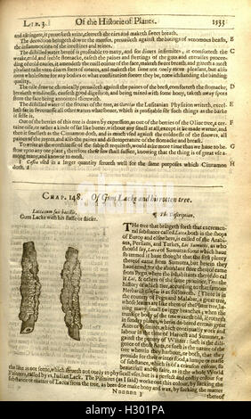 'The Herball' is a comprehensive botanical work that provides detailed ...