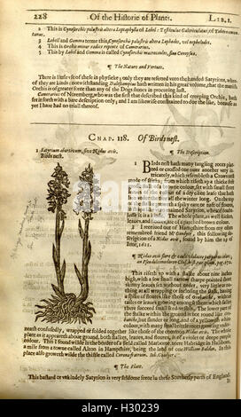 This historical botanical work compiles a comprehensive history and ...