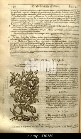 This historic herbal provides descriptions and illustrations of various ...