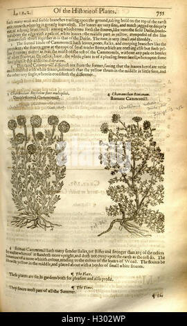 This page discusses the history and classification of plants, with a ...