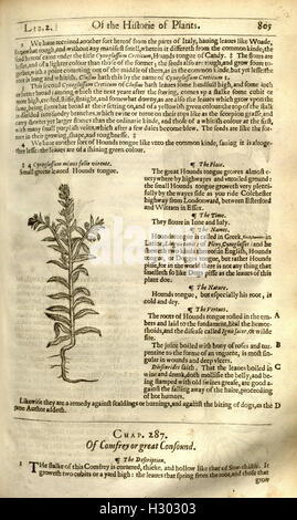 This historic botanical work presents an extensive overview of plant ...
