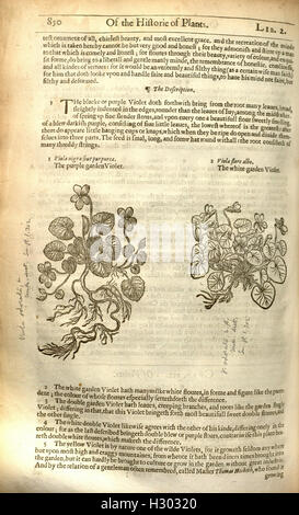 The Herball, or Generall Historie of Plantes, offers comprehensive ...