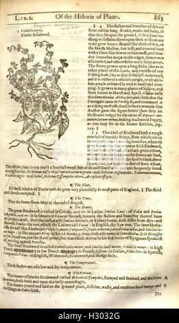 'The Herball, or Generall Historie of Plantes' provides a detailed ...