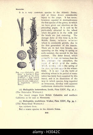 This page from 'The Moth Book' presents detailed information on various ...