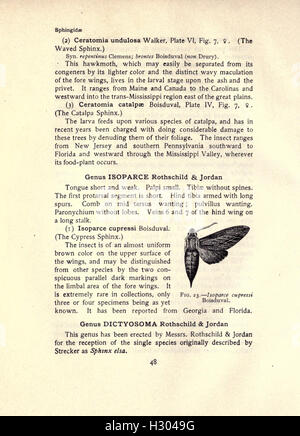 This page from 'The Moth Book' presents various moth species, detailing ...