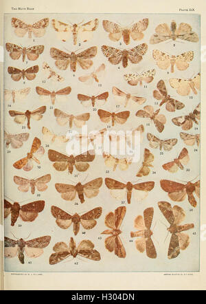 'The Moth Book' is a detailed guide to moth identification, behavior ...