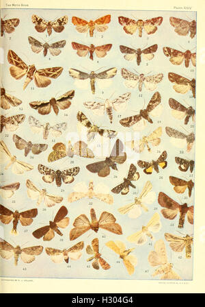 'The Moth Book' provides comprehensive details on various moth species ...