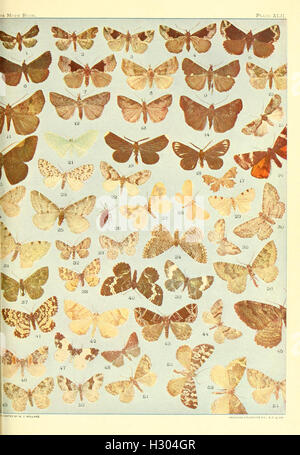 A comprehensive guide to moth species, focusing on identification and ...