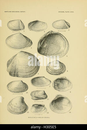This study explores the fossil shells found in Kentucky, providing ...