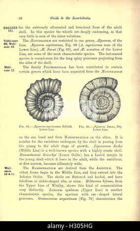 This guide provides an overview of fossil invertebrates and plants ...