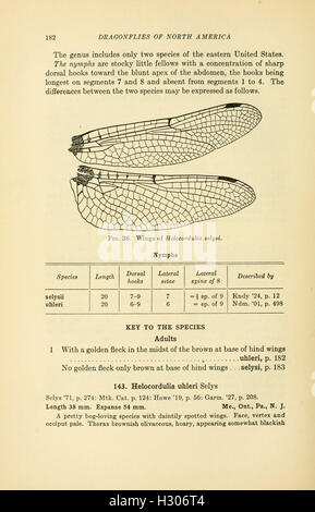 This page from 'A Handbook of the Dragonflies of North America ...