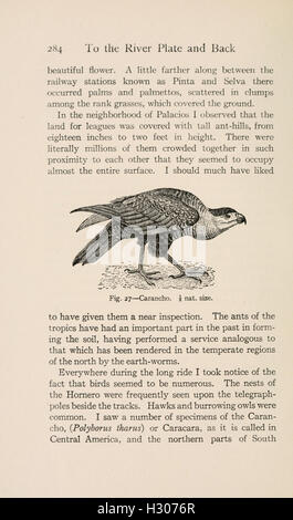 This account details a journey to the River Plate, documenting the ...