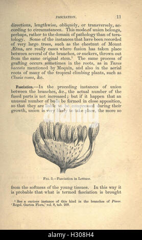 An exploration of plant deformities (teratology) and abnormal growth ...