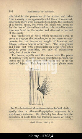 This work examines the abnormal growths and deformities in plants ...