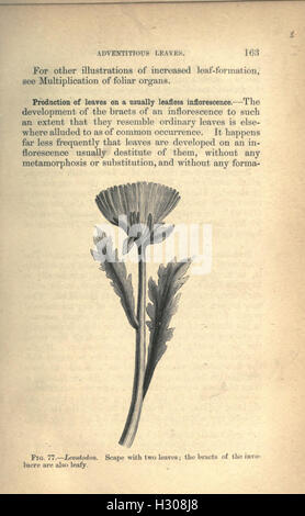 'Vegetable Teratology' is the study of abnormal plant growths and ...