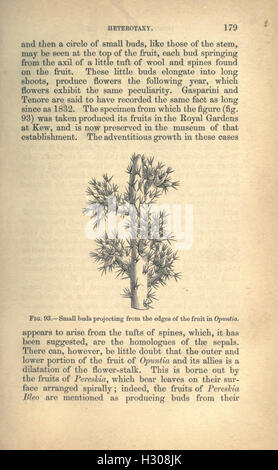 An exploration of plant deformities (teratology) and abnormal growth ...