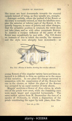 This work explores the study of abnormal plant growths and deformities ...
