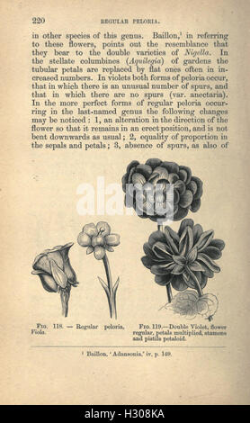 An exploration of plant deformities (teratology) and abnormal growth ...