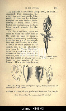 A study of abnormal plant growths and developmental anomalies, focusing ...