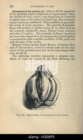 An exploration of plant deformities (teratology) and abnormal growth ...