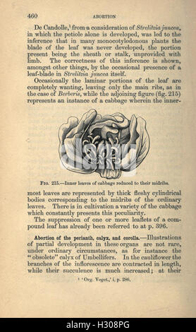 This work discusses the study of abnormal plant growths and deformities ...