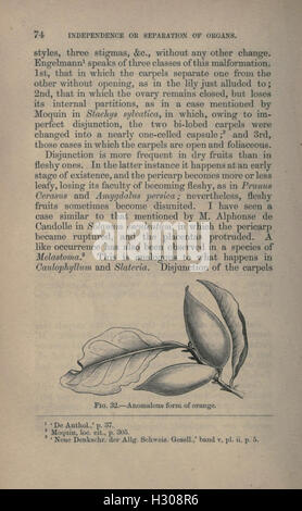 A study of abnormal plant growths and developmental anomalies, focusing ...