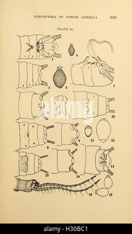 A monograph of the Plecoptera or stoneflies of America north of Mexico ...