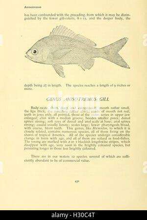 A guide detailing American food and game fish species, their habitats ...