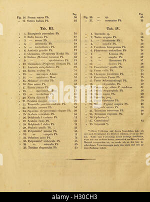 This work discusses the tertiary fossils of northwestern Germany ...