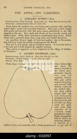 A study of British pomology, focusing on fruit cultivation and ...
